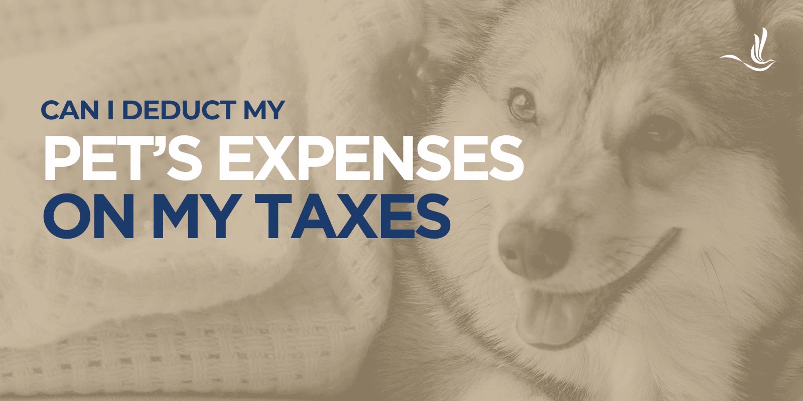 Can I Deduct My Pet's Expenses on My Taxes? | Optima Tax Relief