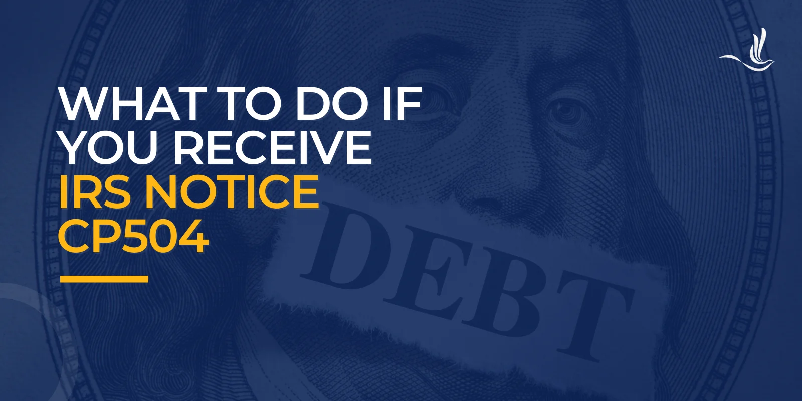 What To Do If You Receive IRS Notice CP504 | Optima Tax Relief