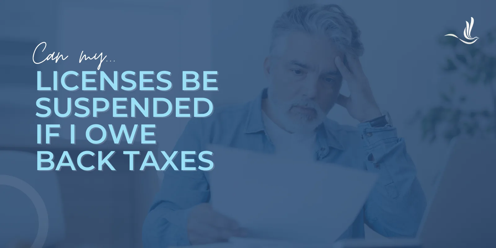 Can the IRS Suspend Your Licenses? | Optima Tax Relief