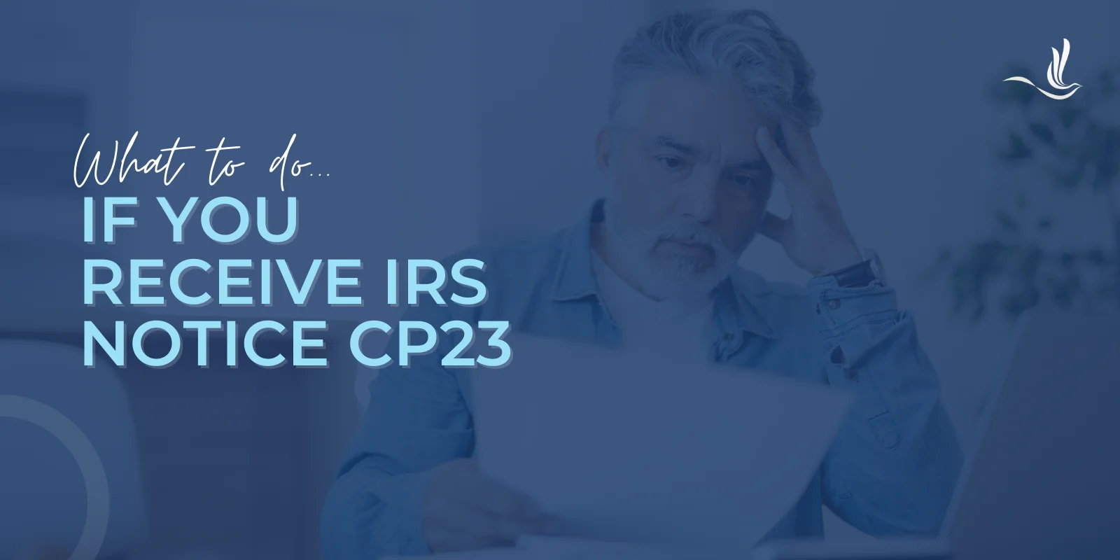 What To Do If You Receive IRS Notice CP23 | Optima Tax Relief