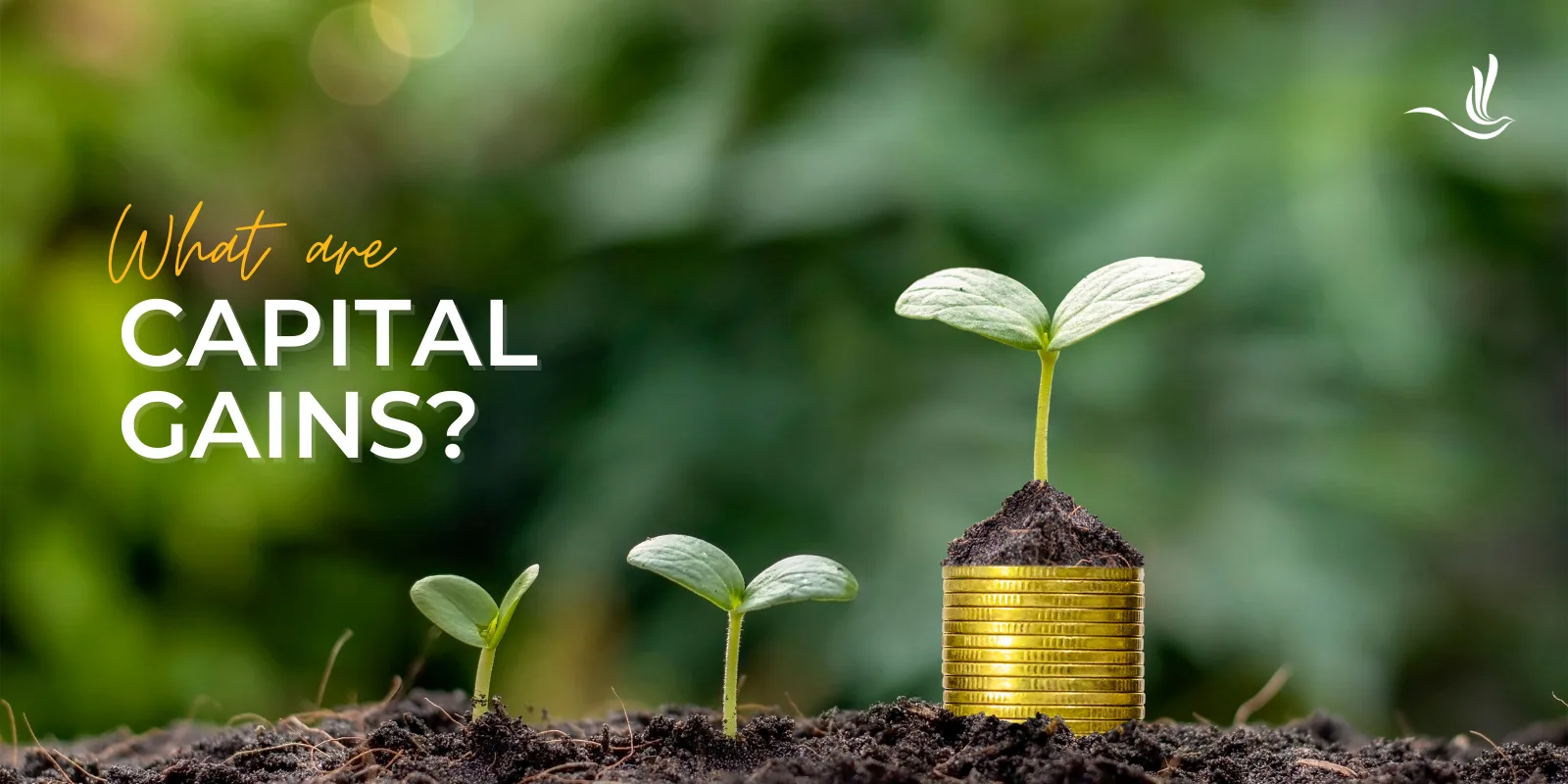 What Are Capital Gains? | Optima Tax Relief